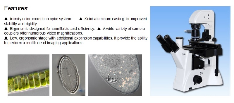 BD-S3DIC Inverted biological microscope With DIC -Shenzhen Boshida ...