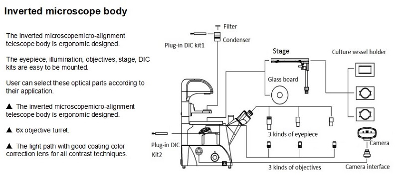 BD-S3DIC Inverted biological microscope With DIC -Shenzhen Boshida ...