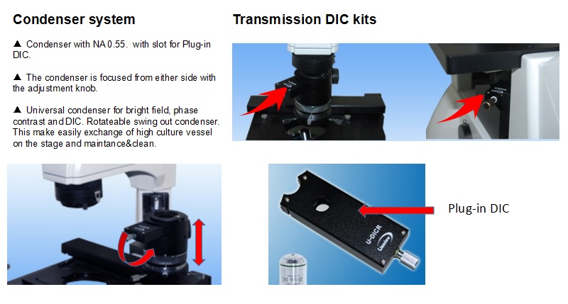 BD-S3DIC Inverted biological microscope With DIC -Shenzhen Boshida ...