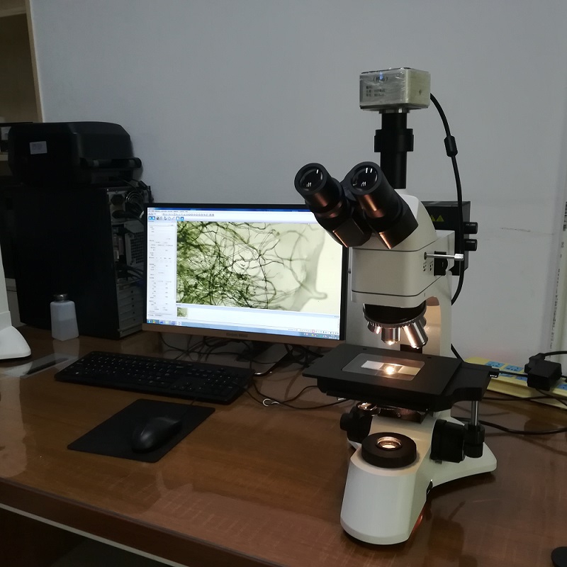BD-DIC3230 digital DIC Metallurgical optical Microscope-Shenzhen ...