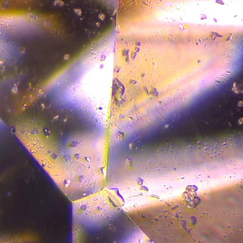 BD-ZB01 trinocular Gem and diamond identification stereo Microscope ...